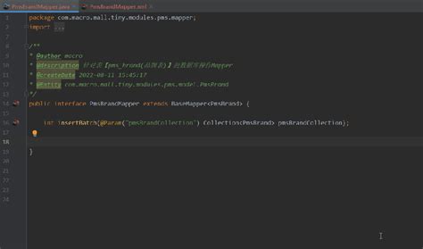 springboot springboot mybatisx，真香！ mybatisx 安装那个好一点 csdn博客