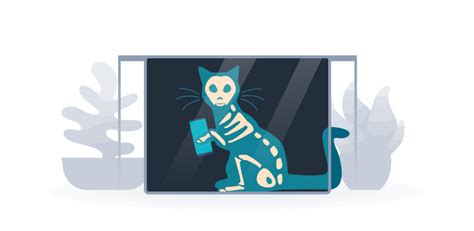 How To Spot And Stop Isp Throttling In 2025 Surfshark