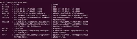 Step By Step To Install AIDE On Ubuntu LTS