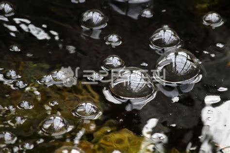 Water 물 물방울 반영 거품 사진이미지일러스트캘리그라피 Benjamin작가