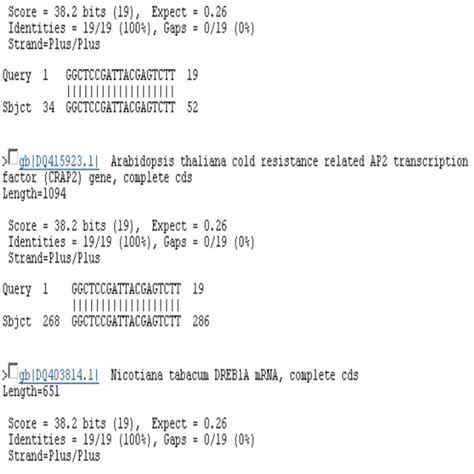 Multiple Sequence Alignment Of The Finalized Forward Primer Sequence