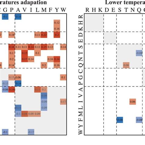 asymmetric substitution matrix showing the patterns of amino acid