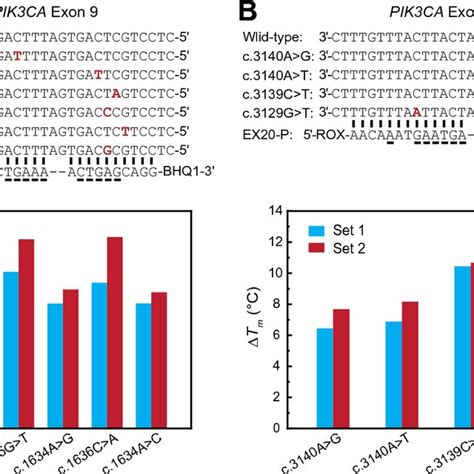 Comparison Of The Workflows Of Duplex Pcr Assay Drop Off Ddpcr Assay Download Scientific