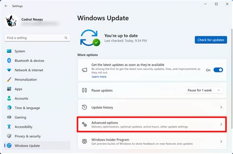 The Complete Guide To Windows 11 Updates