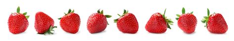 흰색 배경에 맛있는 달콤한 딸기로 설정합니다 배너 디자인 딸기에 대한 스톡 사진 및 기타 이미지 딸기 컷아웃 흰색 배경 Istock