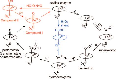 Lauric Acid Methyl Ester Semantic Scholar
