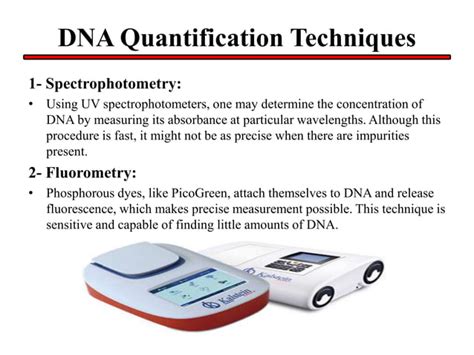 Dna Extraction And Quantification In Forensic Science Pptx Chemistry