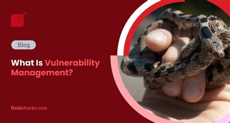 fluid attacks on linkedin definition of the vulnerability management