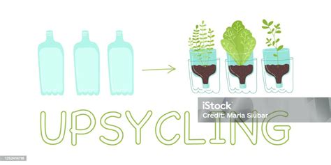 플라스틱 병으로 만든 냄비에 녹색 식물 제로 폐기물 업 사이클링 활용의 재사용 포팅 생성 수직 원예 개념 흰색 배경에 격리된 다채로운 벡터 일러스트레이션 0명에 대한 스톡