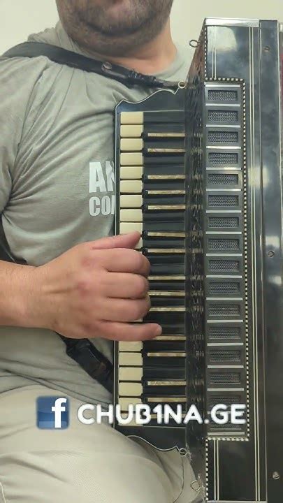 მუსიკოსი ვახო ჩიმჩიური თეატრალური უნივერსიტეტი Georgian Musician გარმონი Chub1na Ge