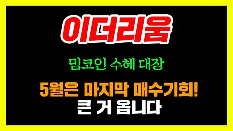 이더리움 밈코인 수혜 대장 5월은 마지막 매수기회 큰 거 옵니다 이더리움 이더리움코인 이더리움전략 Youtube