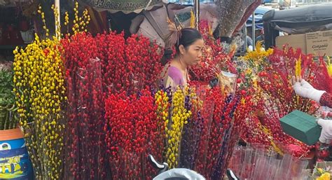 ចូលឆ្នាំចិន៖ អ្នកស្រី ម៉ូ មុល្លីកា យកផ្កាអង្គាសីលជ័រ មកលក់ជំនួសផ្កាស្រស់ ដើម្បីកុំឱ្យខាតដើមច្រើន