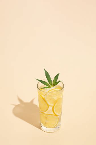 레몬 조각 마리화나 잎 및 유리 Od 물에 얼음 밝은 햇볕이 잘 드는 배경입니다 최소한의 마리화나 개념 공간을 복사합니다 수직 프레임 0명에 대한 스톡 사진 및 기타 이미지