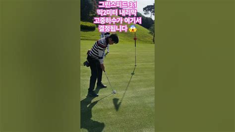 고중하수의 갈림길찐삘골 😱👍🐕⛳️💕골프골프존스크린골프nx골프존cc필드필드골프필드레슨웨지퍼터아이언비거리골프