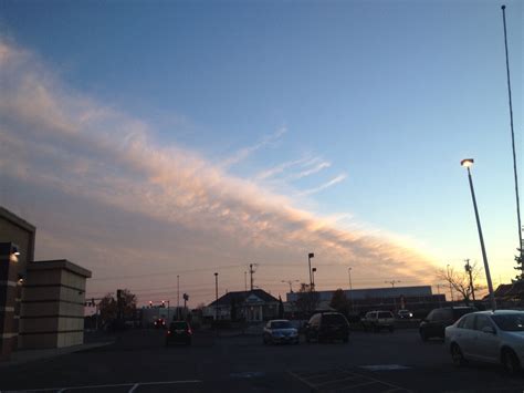 Bout Tree Fitty U Bout Tree Fitty Reddit