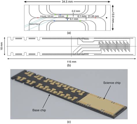 The Science And Base Chip Schematics Are Presented Here The Science Download Scientific
