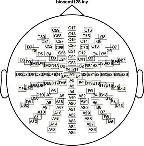 Template D Layouts For Plotting FieldTrip Toolbox