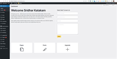 custom wordpress dashboard page in bricks brickslabs