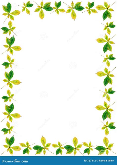 Leaf Framework Stock Illustration Illustration Of Decoration 323812