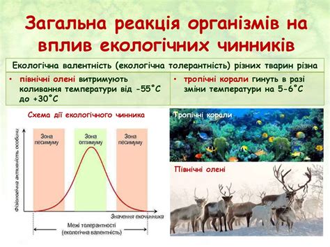 Закономірності впливу екологічних чинників на організми та їхні угрупування Online Presentation