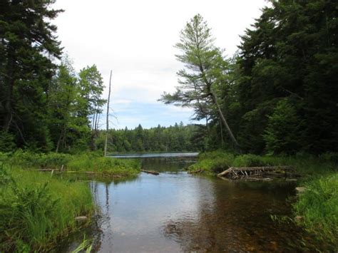 Long Pond To Hoel Pond Paddle And Hike St Regis Canoe Outfitters