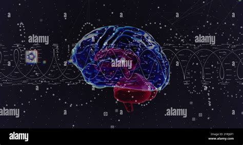 Image Of Digital Data Processing Human Brain Over Dna Strand Spinning