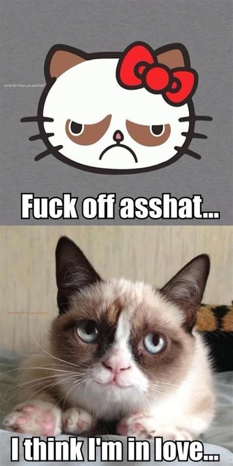 Grumpy And Hello Kitty D Funny Grumpy Cat Memes Grumpy Cat Humor