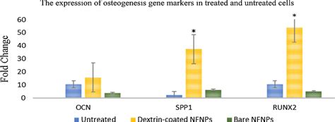 the expression of ocn spp 1 and runx 2 genes in untreated wj msc and