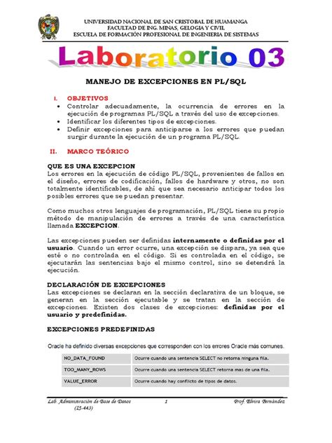 tratamiento de errores pdf pl sql programa de computadora