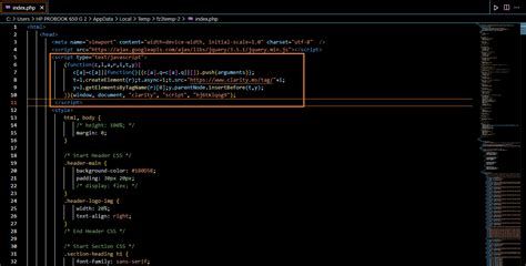 How To Connect Microsoft Clarity With Wordpress Magento And Php