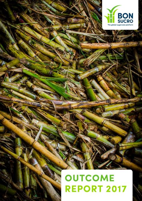 Get The Latest Data And Insights About Bonsucro With The Outcome