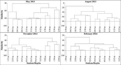 Bray Curtis Similarity Dendrogram Of The Sampling Stations And Periods