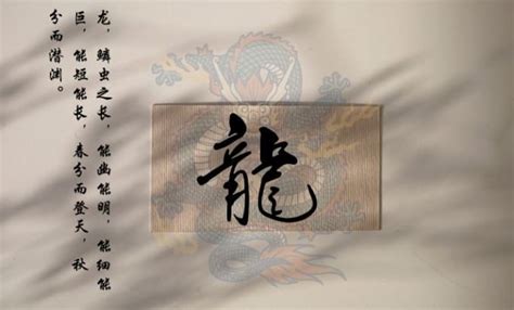 Make Concise And Clear Poster By Alice029 Fiverr