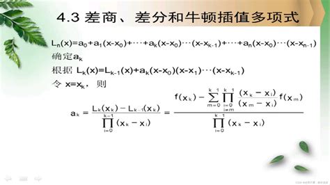 4 3差商、牛顿插值多项式与差分 csdn博客