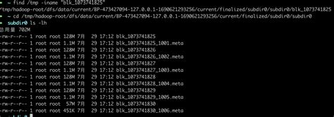 深入理解 hdfs（一）：block hadoop 冰心的小屋 infoq写作社区