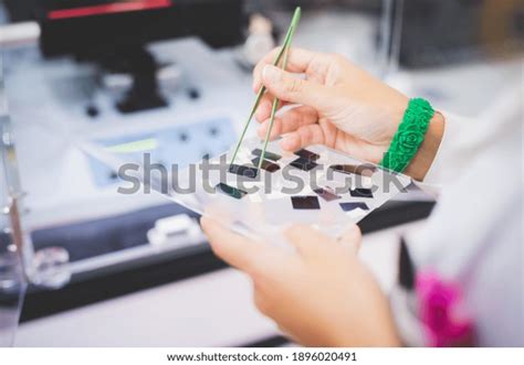 Female Scientist Using Ftir Spectrophotometer Taking Stock Photo Shutterstock