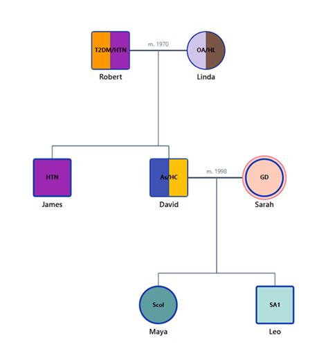 Genogram Examples Real Clinical Cases Genosm