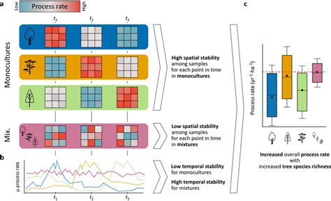 Schematic Depiction Of The Proposed Conceptual Framework Of How Download Scientific Diagram