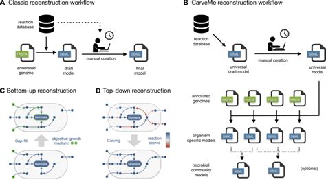 a not so short introduction to metabolic modelling alexandre areias
