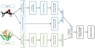 DProtDTA A Deep Learning Model For Drug Target Affinity Prediction Based On Residue Level