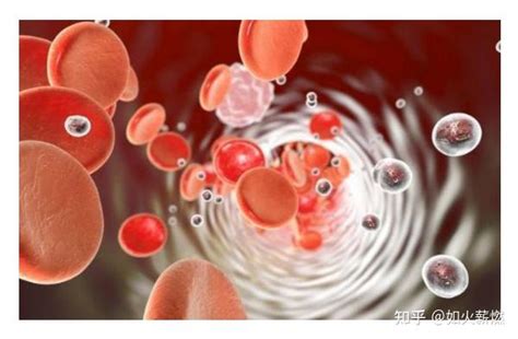 与血浆蛋白结合率高的药物起效快还是起效慢，为什么 知乎