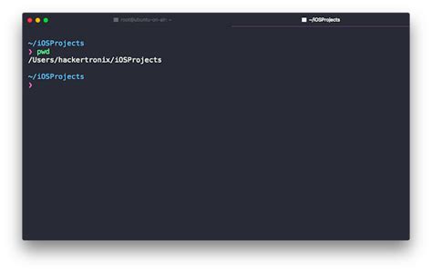 Linux Hands On Installation And The Basics