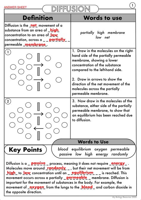 Diffusion And Osmosis Worksheet