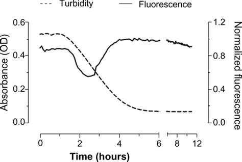 Variation Of Turbidity Absorbance At λ 510 Nm And Fluorescence