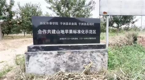 “三下乡”特别栏目 共赴子洲（四） ——走进高墕生态果园 西安外事学院 国际合作学院
