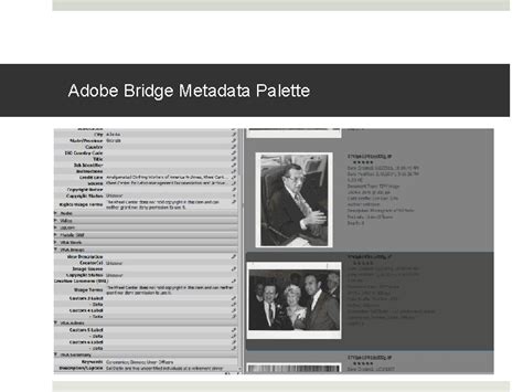The Role Of Embedded Metadata In Visual Resources