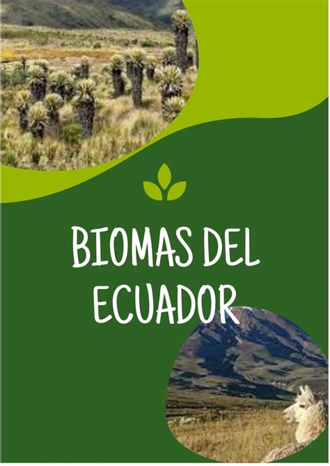 Biomas Del Ecuador By Dominic Peña Flipsnack