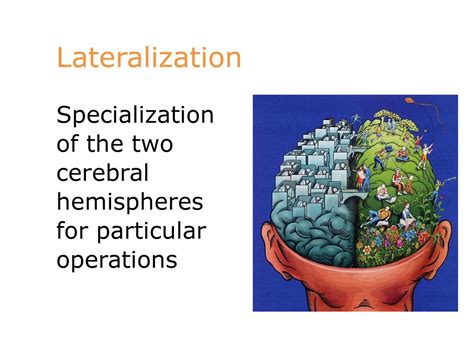 Biopsychology Ppt Download