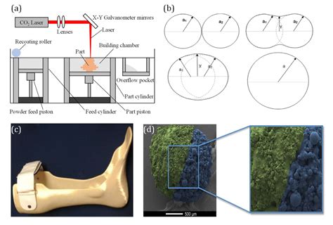 Selective Laser Sintering Polypropylene Powder Sets New Standard For