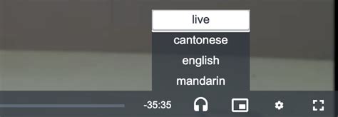 Videojs Hls Show Audio Selector On Android Devices Stack Overflow